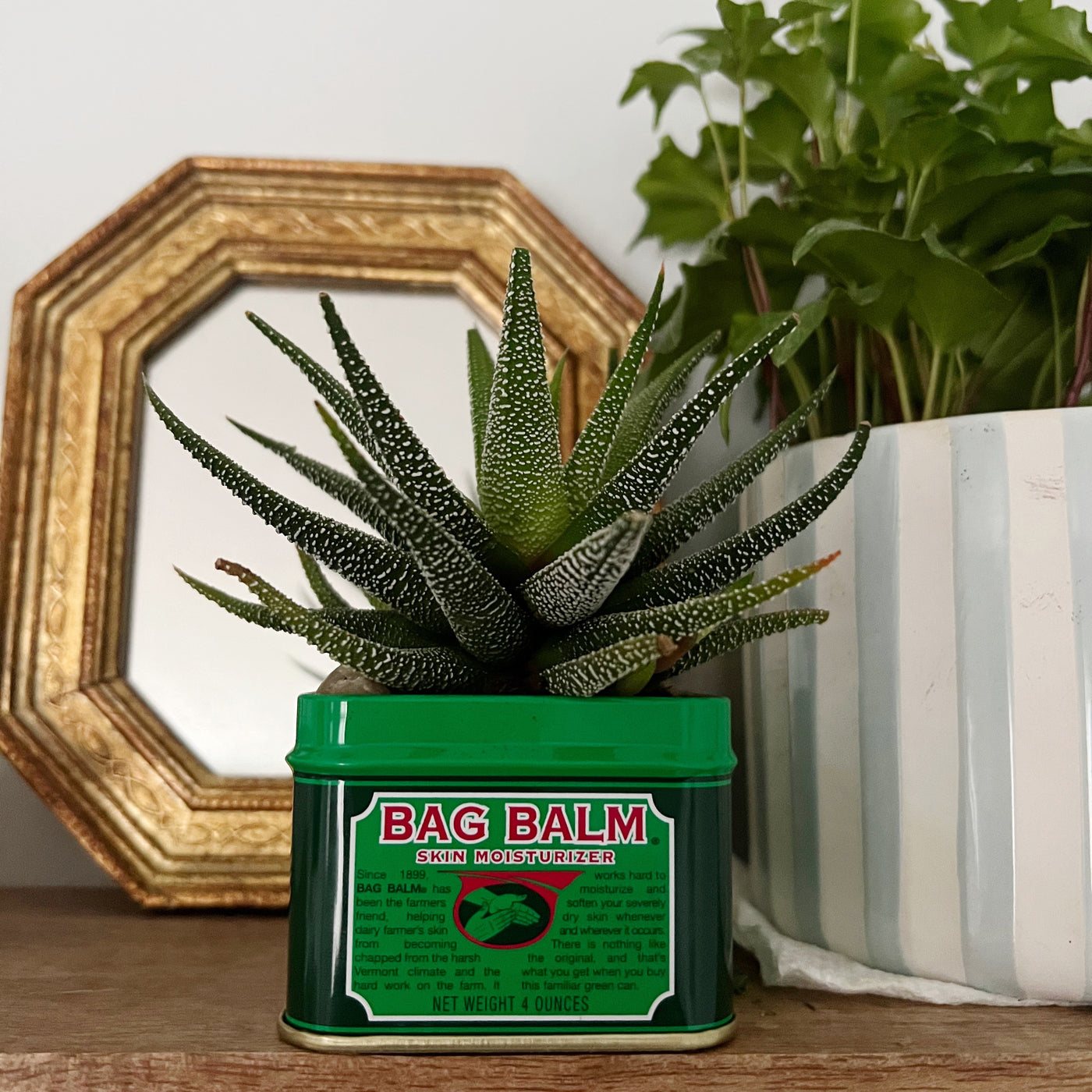 The Top 10 Ways Our Fans Are Using Bag Balm